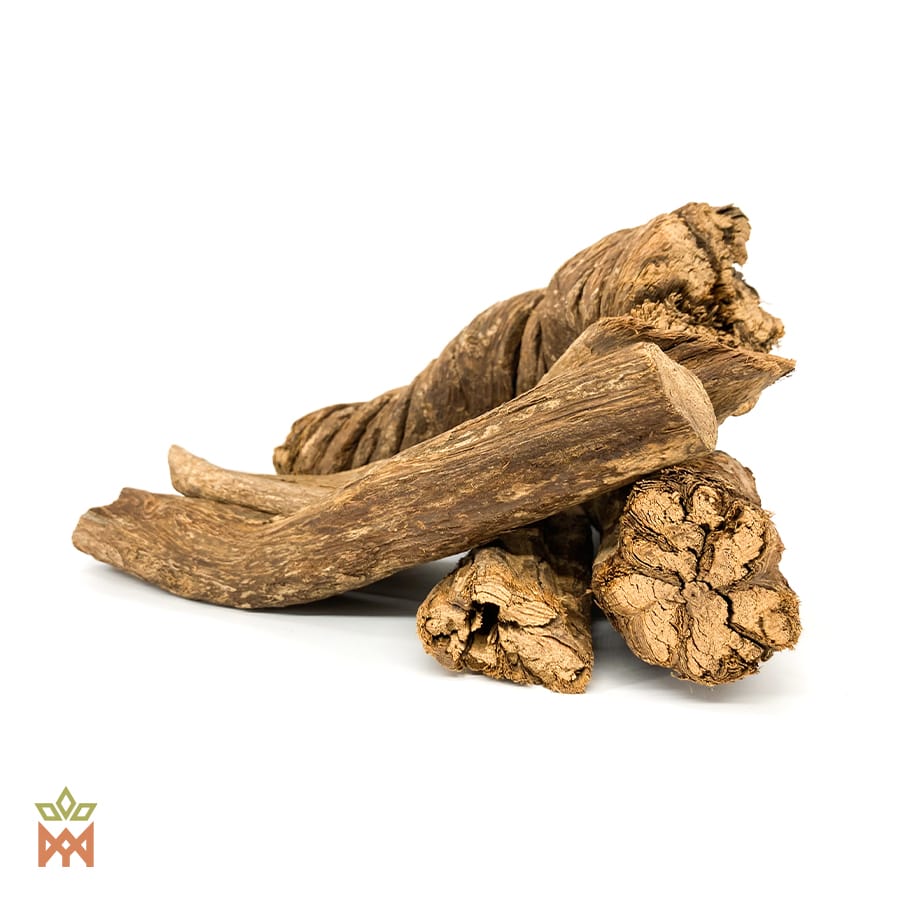 Weiße Caapi | Ayahuasca-Rebe | Peru | Shipibo-Stamm