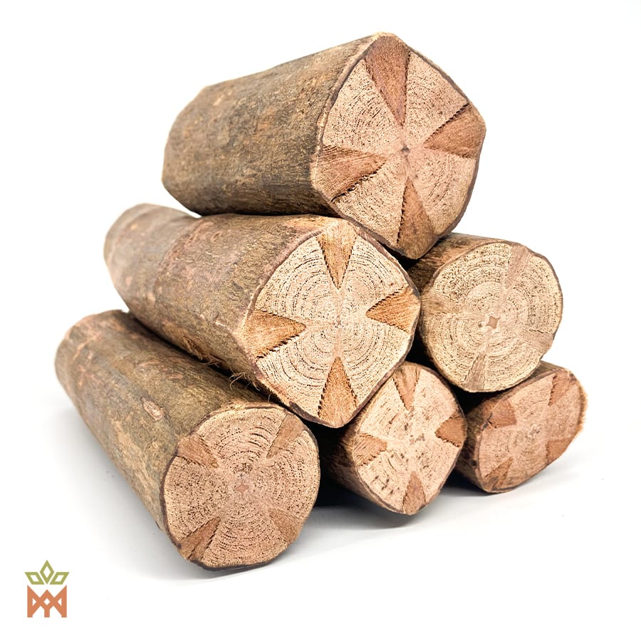 Clavo Huasca |Tynanthus panurensis | Ganzer Weinstock | Maya