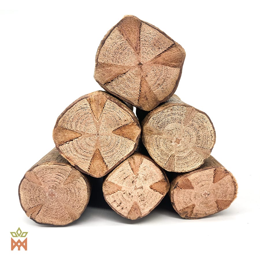 Clavo Huasca |Tynanthus panurensis | Ganzer Weinstock | Maya