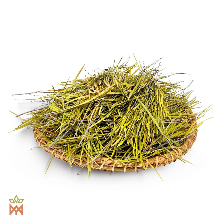 Acacia Acuminata Narrow Phyllodes | Hier kaufen | Australien